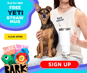 100% Satisfaction Guaranteed bluedolphin.com